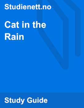 Cat in the Rain by Ernest Hemingway | Studienett.no