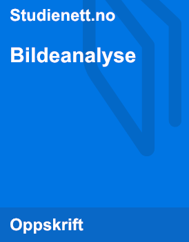 Bildeanalyse oppskrift | Studienett.no